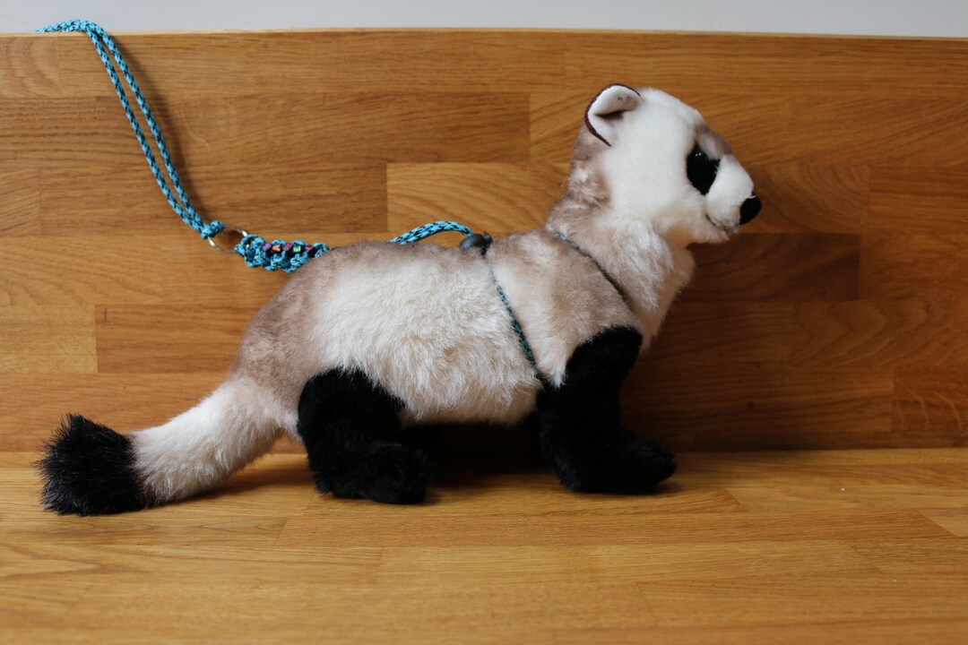 Small Animal Harness + Lead Set for Ferret, Rabbit, Chinchilla Etc ...