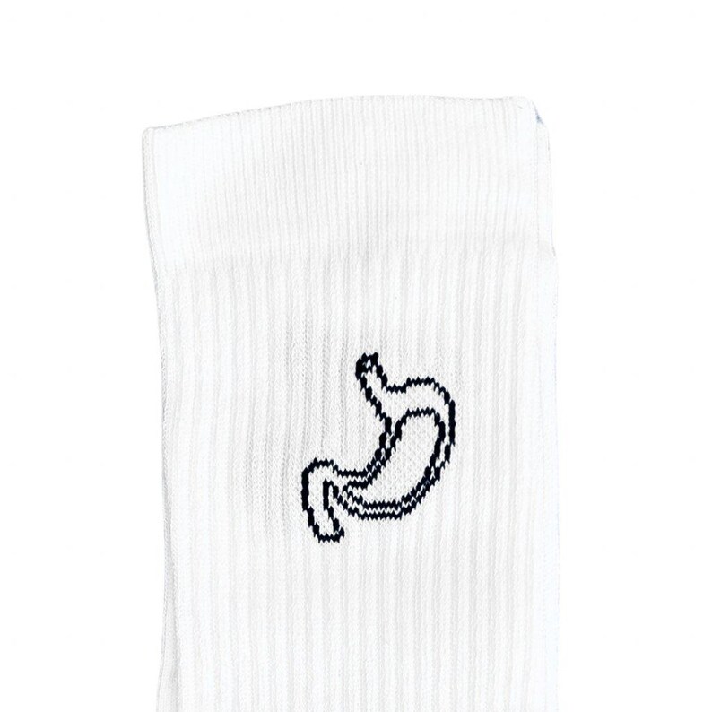 Medical Anatomy Socks – Stomach Design, Unique Gift for Doctors, Nurses ...