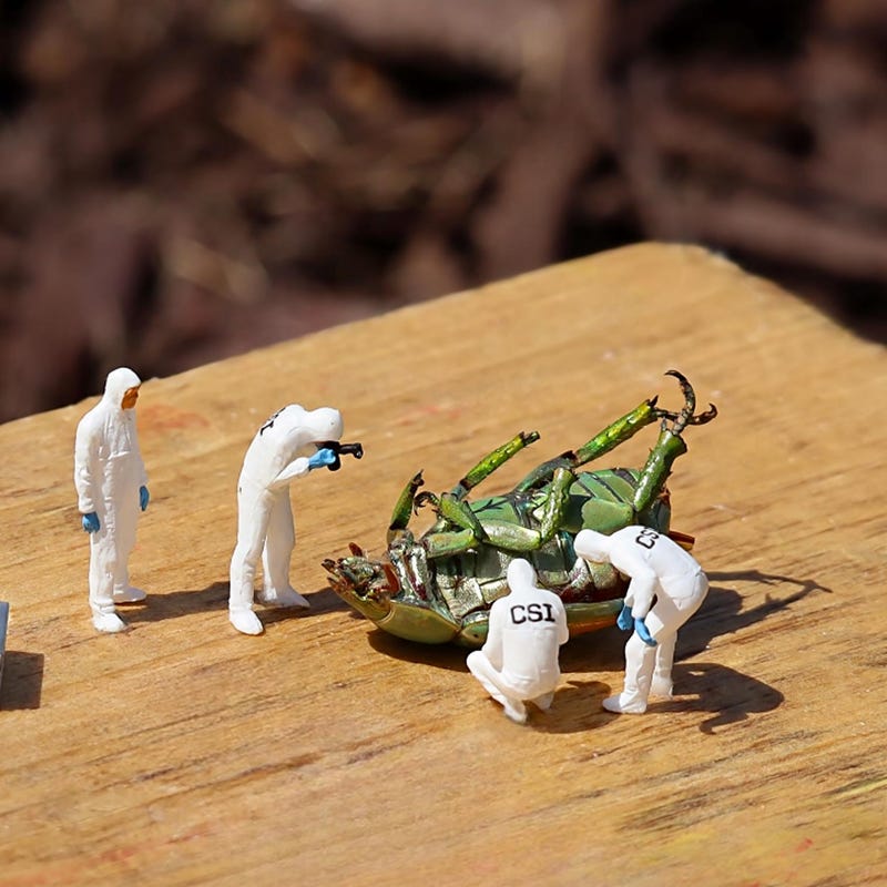 Miniature People - Etsy