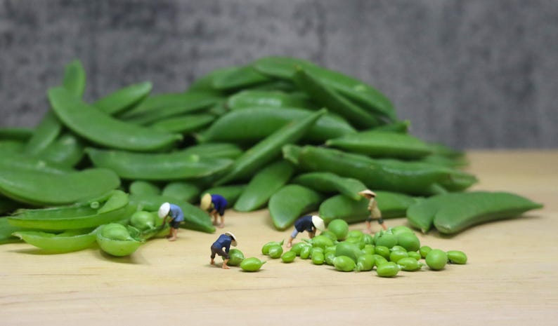 Miniature World, Miniature People, Funny, Whimsical, Surreal, Kitchen ...