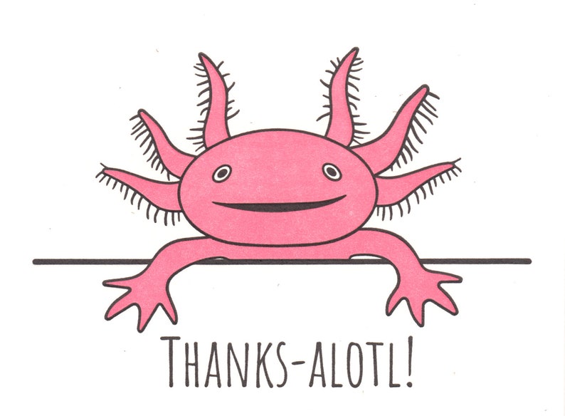 Axolotl Thanks Box Set - Etsy