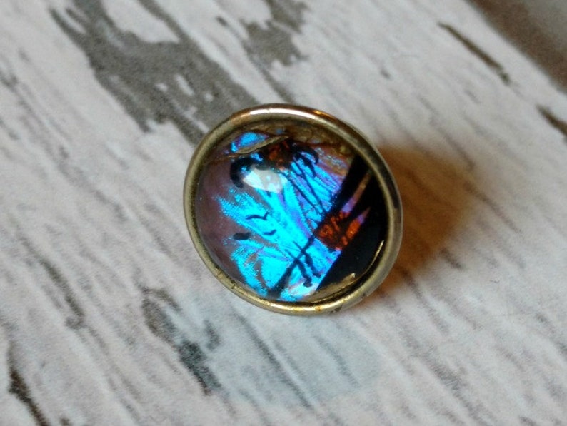 Butterfly Wing Pin - Butterfly Brooch - Tropical Pin - Tack Pin - Lapel ...