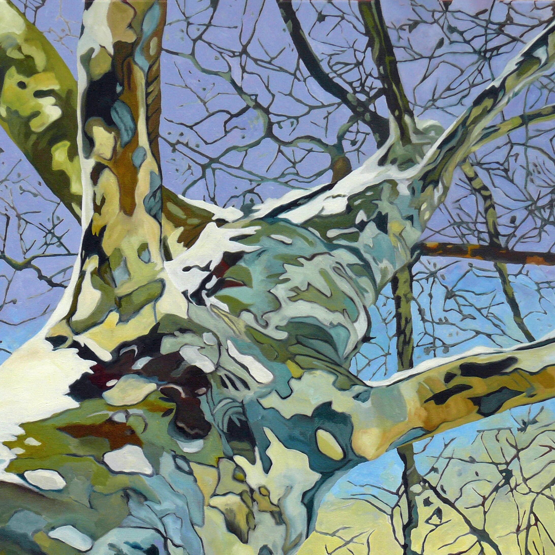 Winter Sycamore Tree Landscape Painting - Etsy