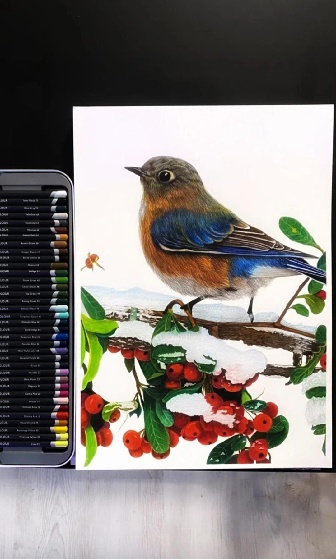 Realistic Coloured Pencils Drawing Blue Bird in the Snow - Etsy