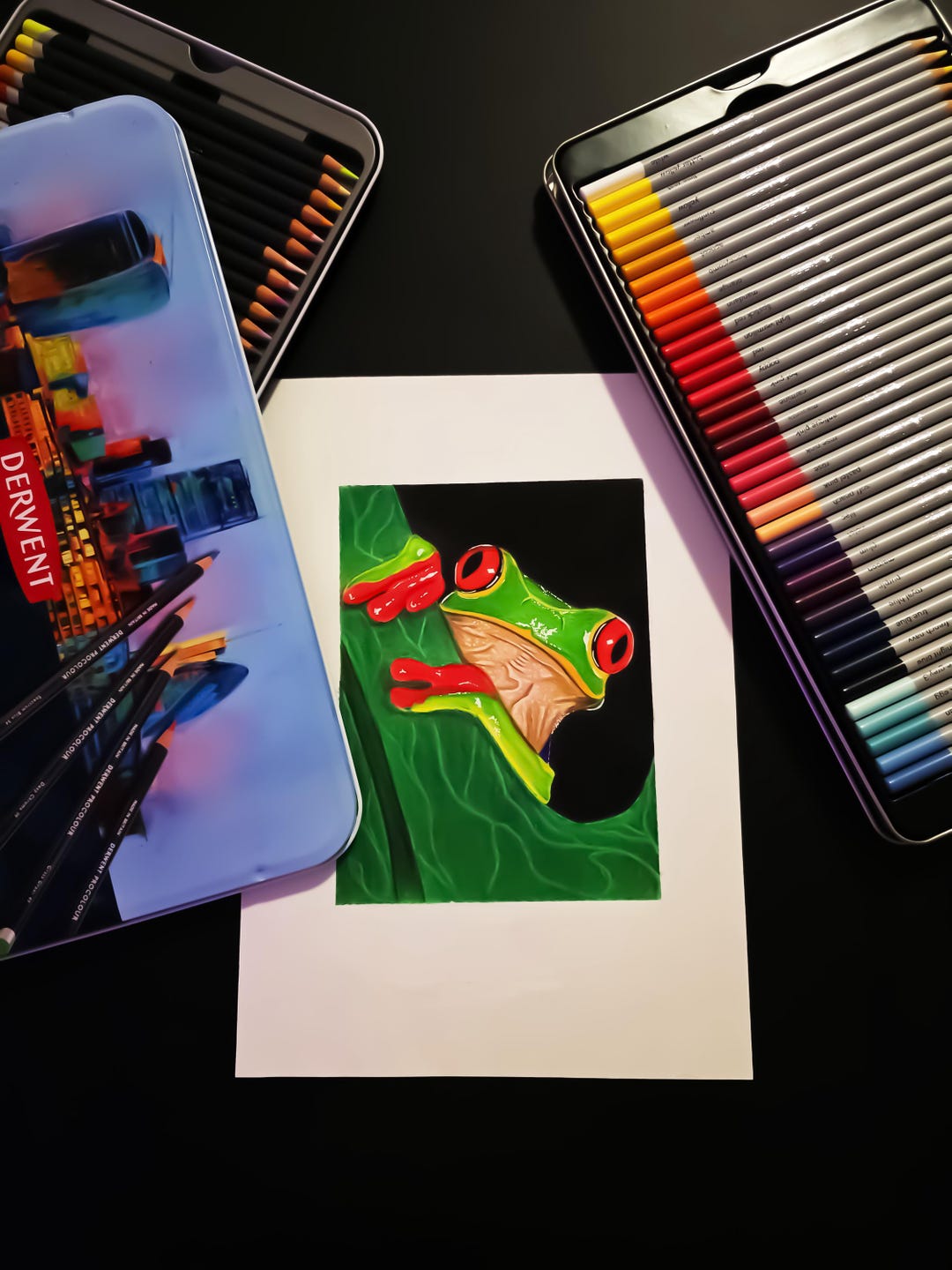 Realistic Red-eyed Tree Frog Drawing | Hand-drawn Wildlife Art - Etsy