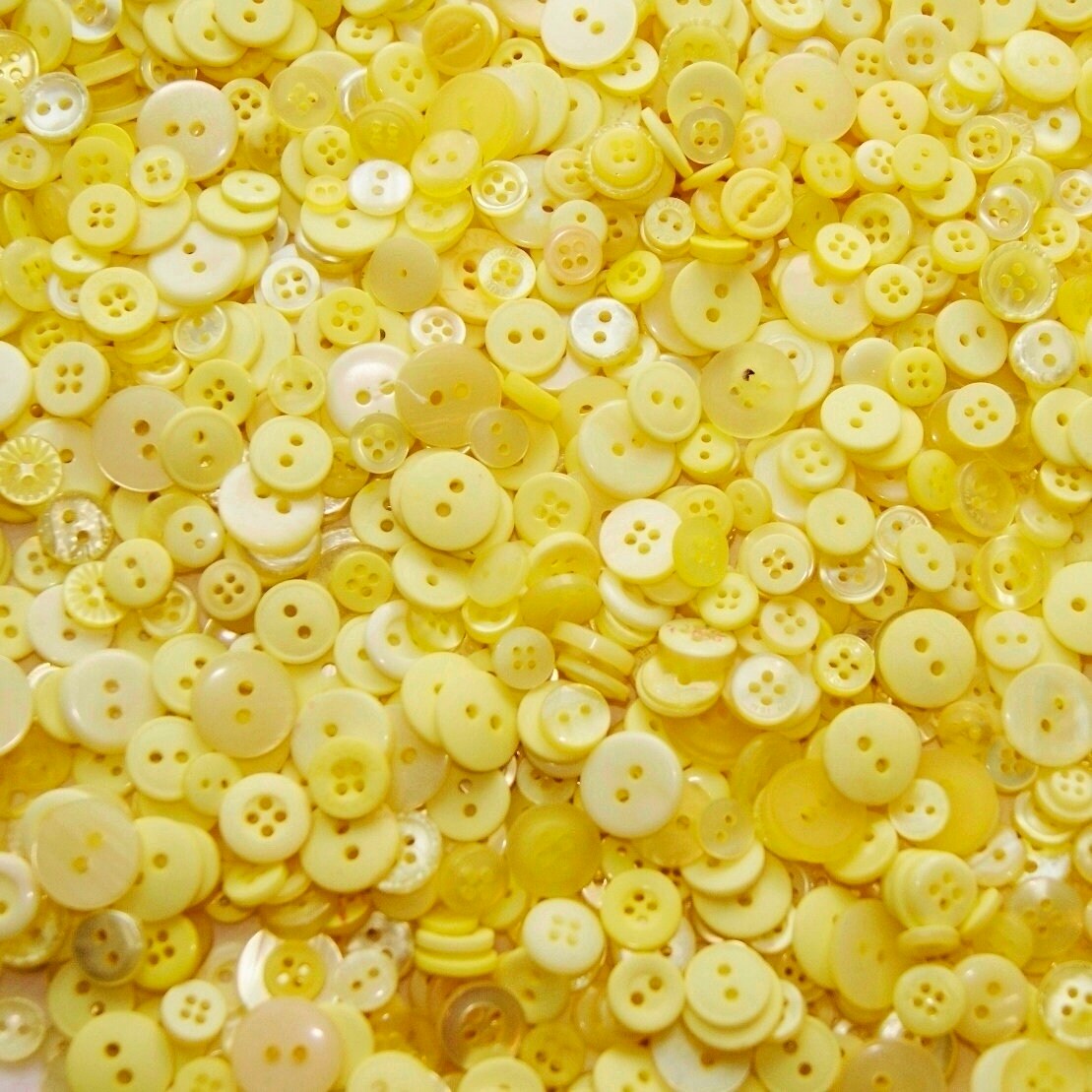 1000 Buttons Small Light Yellow Buttons, Pale Banana Yellow, Yellow ...
