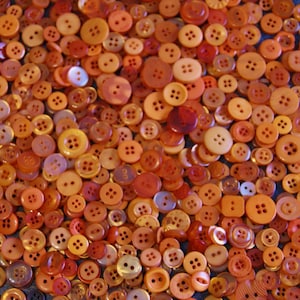 200 Orange Pumpkin Orange Buttons Burnt Orange Small Sizes - Etsy