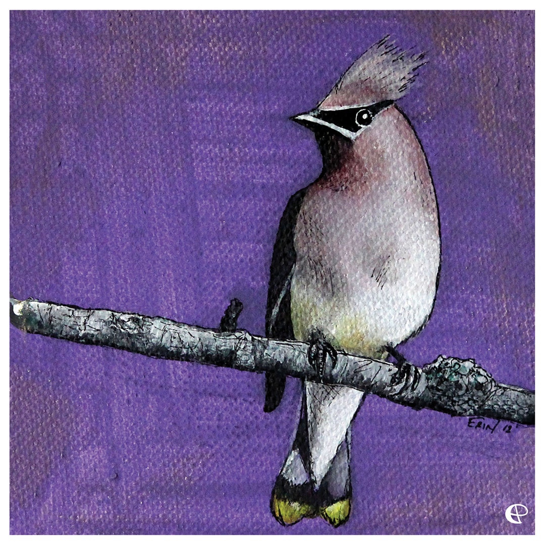 Cedar Waxwing Art Print - Etsy