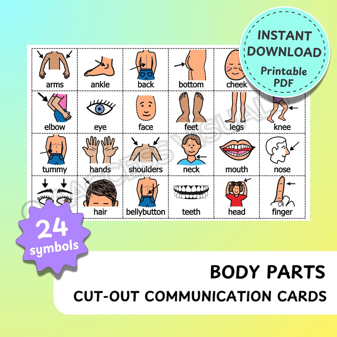 Body Parts - 24 Cut-out PCS Symbols - AAC Boardmaker Digital Download Picture Communication ...
