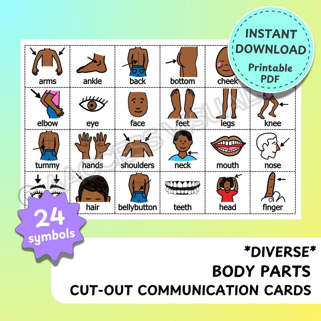Body Parts (diverse) - 24 Cut-out PCS Symbols - AAC Boardmaker Digital ...