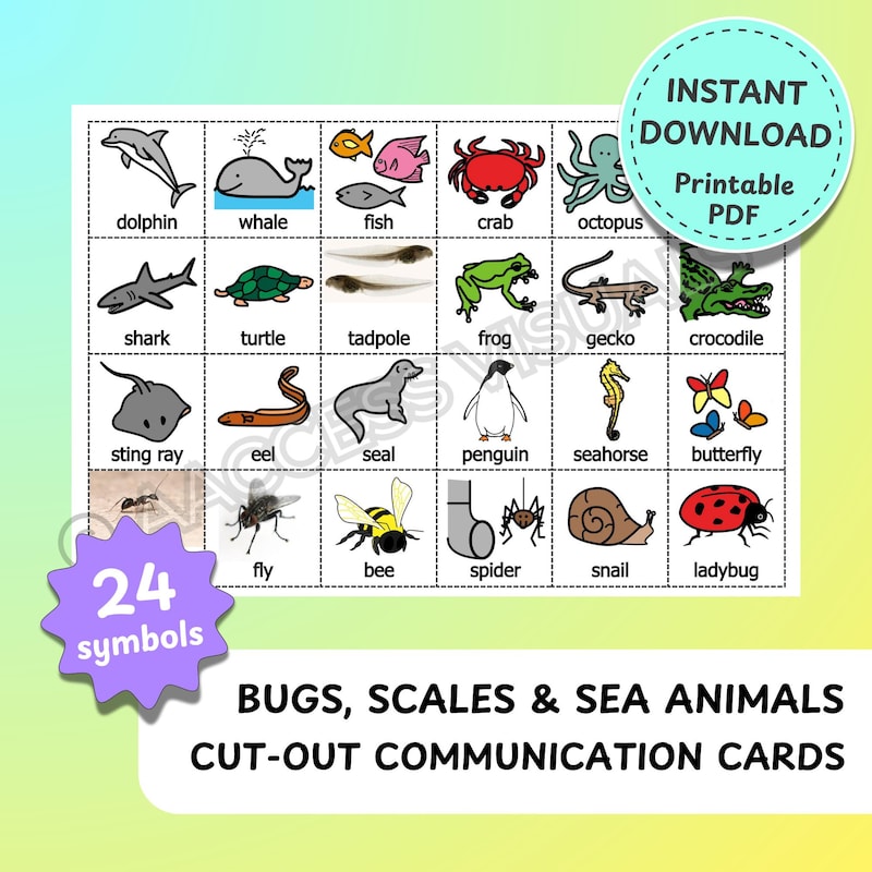 Boardmaker Symbols - Etsy