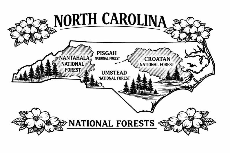 NC National Forests Map – Laser Engraving PNG and SVG - Etsy