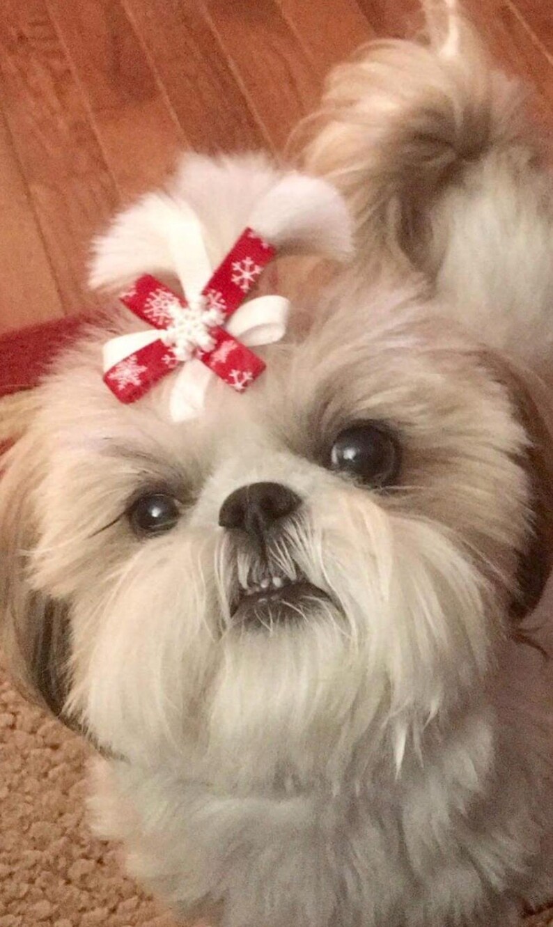 Dog Bows, Dog Bow, Dog Bow, Dog Grooming Bow, Puppy Bow, Dog Hair Bow ...