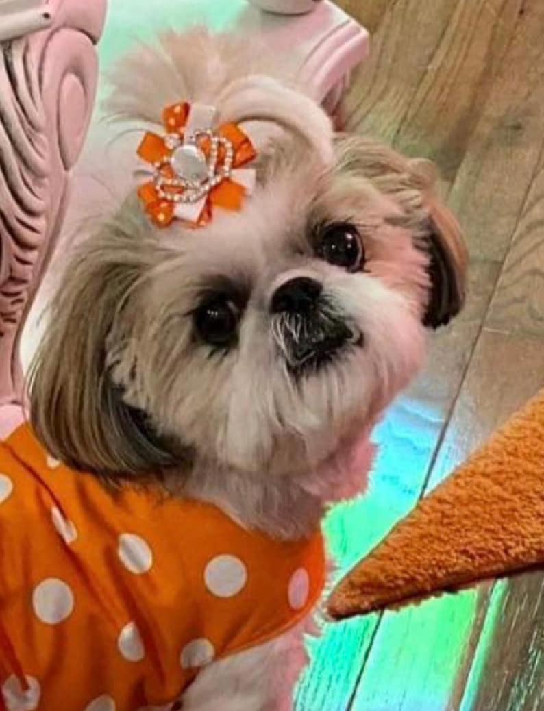 Dog Bows, Dog Bow, Dog Bow, Dog Grooming Bow, Puppy Bow, Dog Hair Bow ...