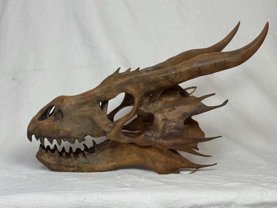 Large Hand-painted Dragon Skull: Mythical Fossil Sculpture (24 Inch) - Etsy