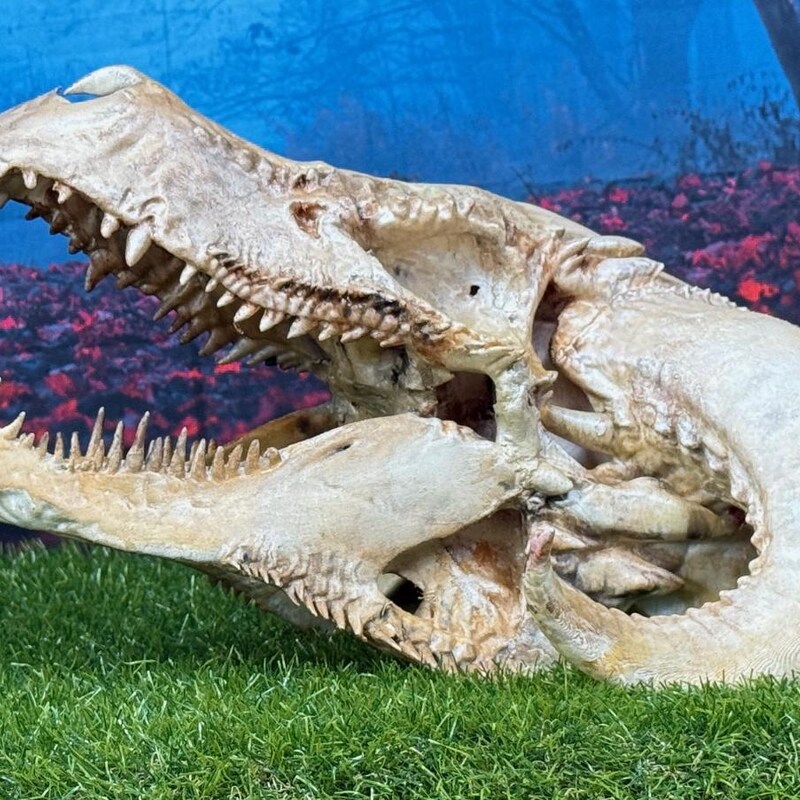 Extra Large 3d Printed Dragons - Etsy