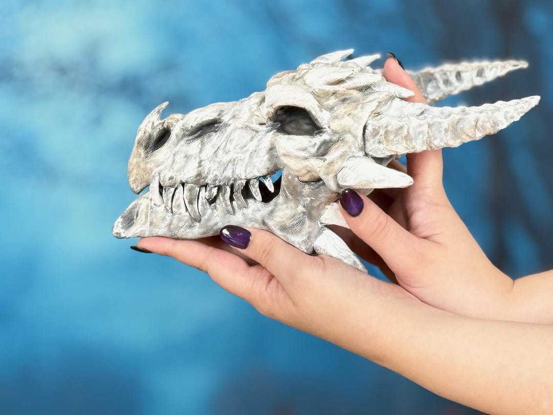 Frostbone Wyrm Skull – Medium-sized White & Gray Dragon Remnant - Etsy