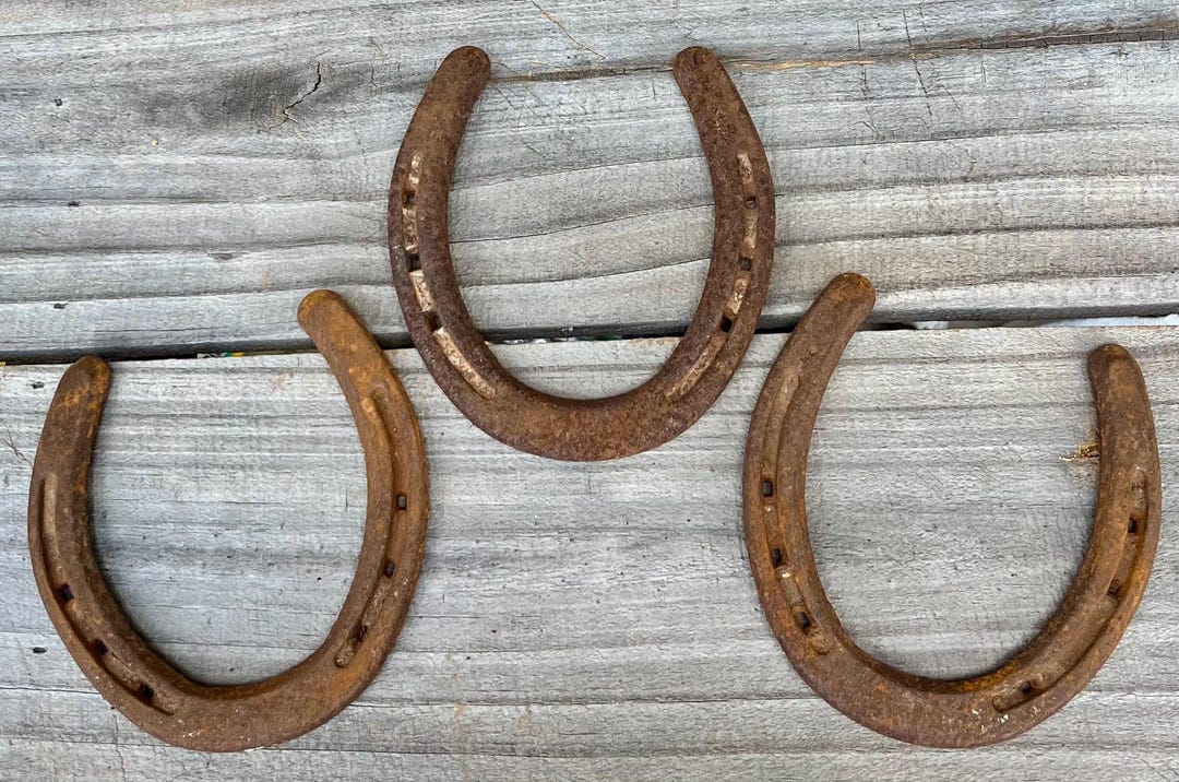 Rusty Horseshoes Trio: Matched Authentic Rusty Horse Shoes Set of Three ...