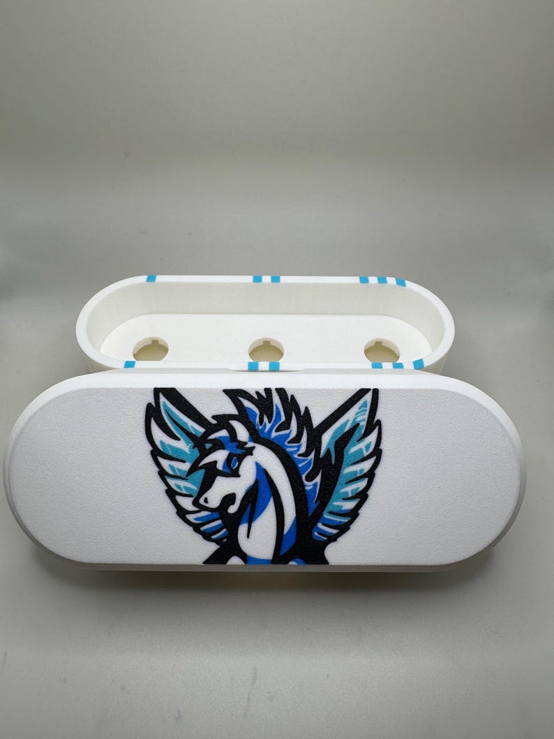 Aero Pegasus Beyblade X Bento Box Case - Etsy