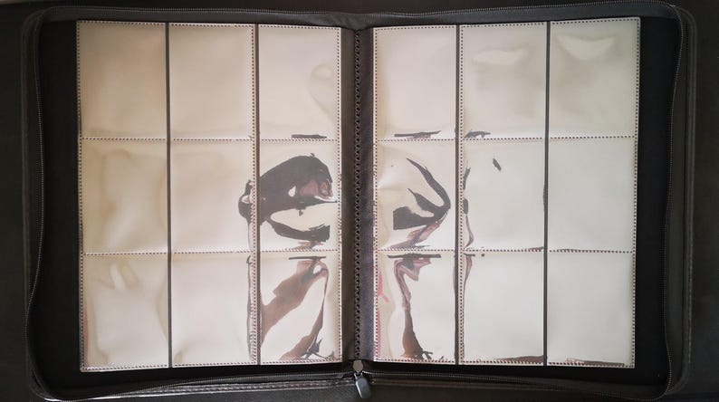 Custom Made Giratina & Arceus 9pocket Binder 20pages - Etsy