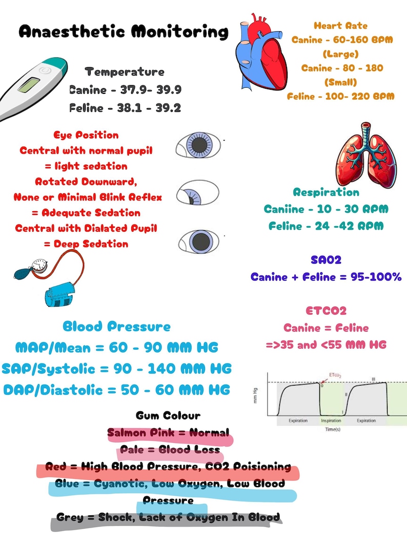 Anaesthetic Monitoring Chart Vetmed - Etsy