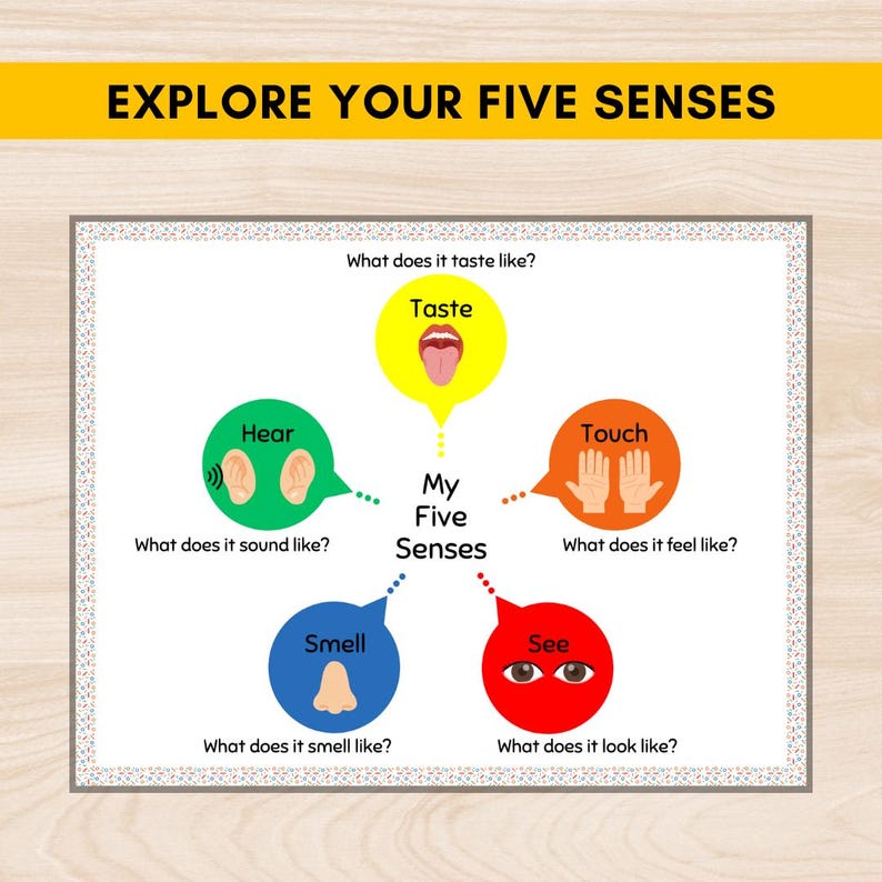 Editable Five Senses Placemat: Kids Learning Template (canva) - Etsy