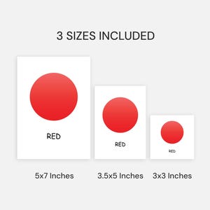 Color Cards, Rainbow Color Flashcards for Kids, Basic Educational ...