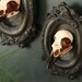 Framed Magpie Skull, 3D Gothic Wall Art, Halloween Home Decor - Etsy