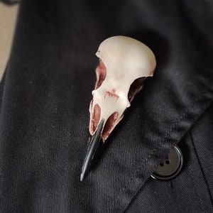 Crow Skull Pin - Replica Resin Bird Skull Brooch - Goth Victorian ...