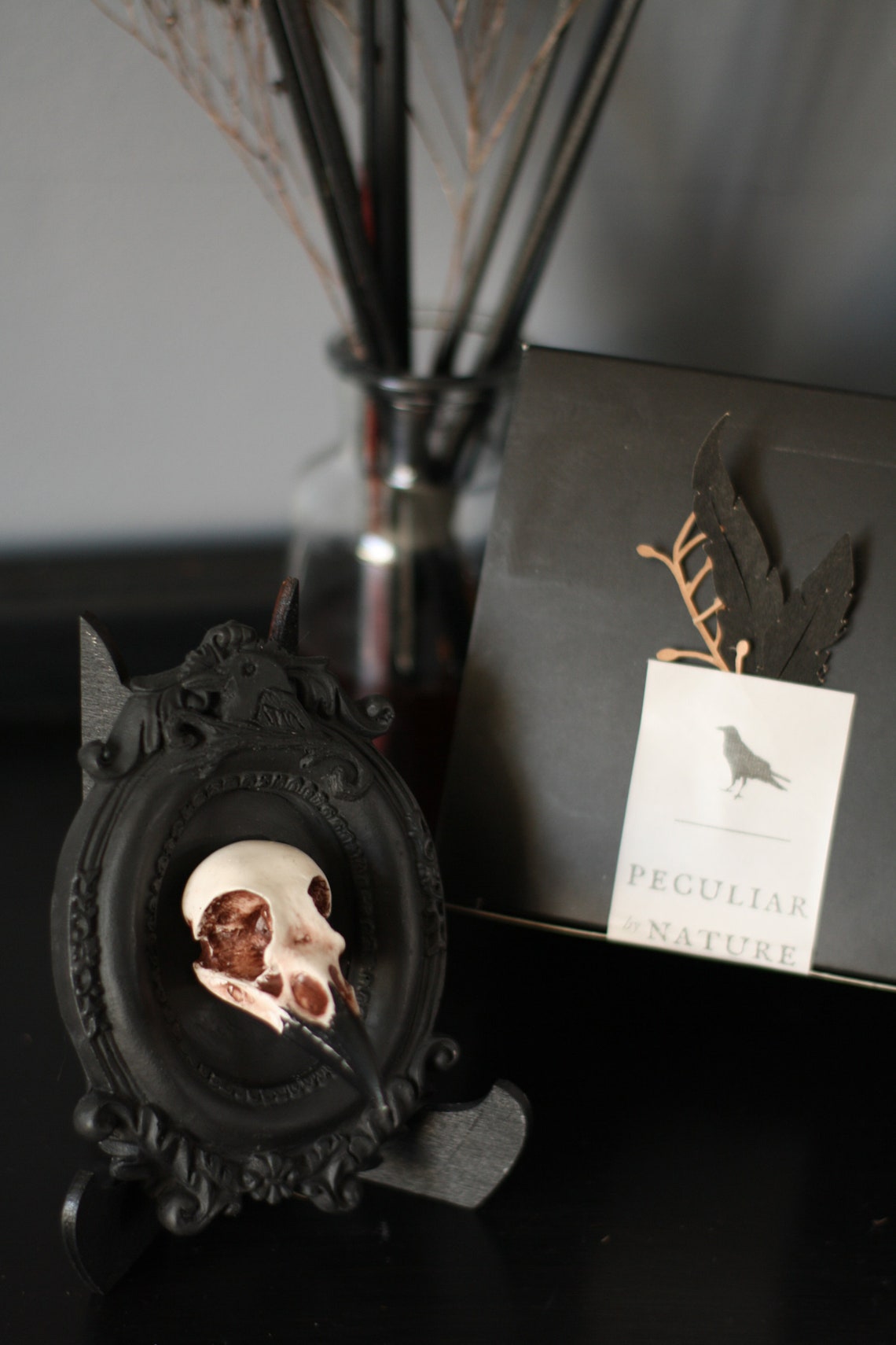 Framed Magpie Skull 3D Gothic Wall Art Halloween Home Decor - Etsy