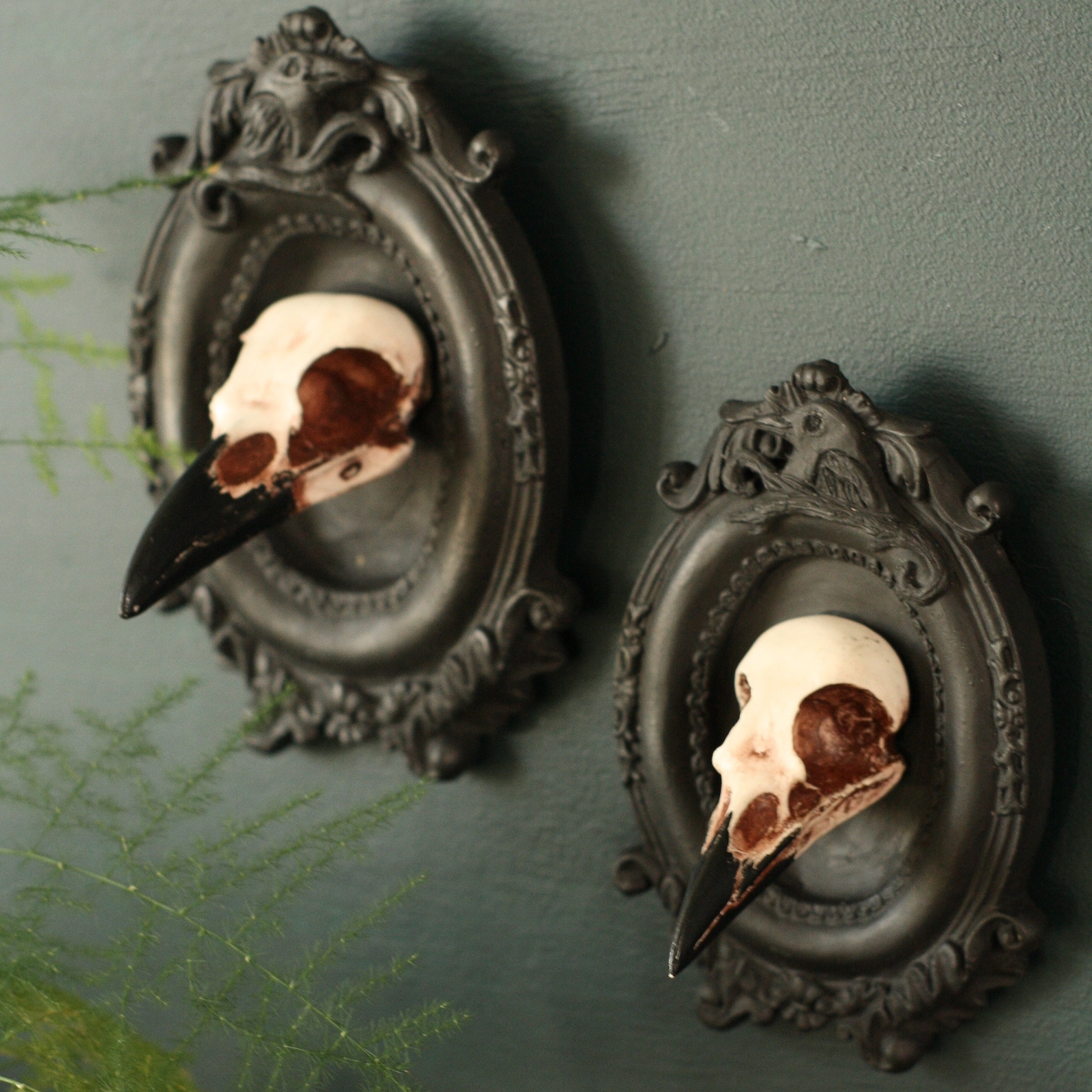 Framed Magpie Skull 3D Gothic Wall Art Halloween Home Decor - Etsy