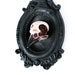 Framed Magpie Skull 3D Gothic Wall Art Halloween Home Decor - Etsy