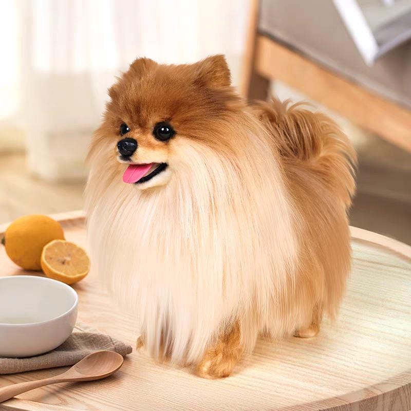 Pomeranian Plush - Etsy