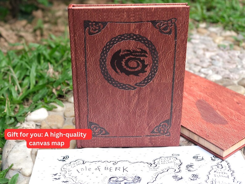 HTTYD Dragon Book • How to Train Your Dragon Book • Dragon Training ...