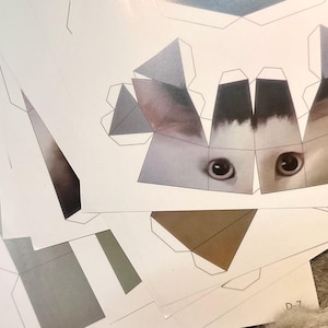 3D Papercraft Meme Cats - Etsy Canada