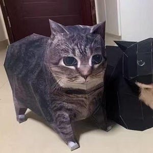 3D Papercraft Meme Cats - Etsy