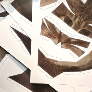3D Papercraft Meme Cats - Etsy Canada