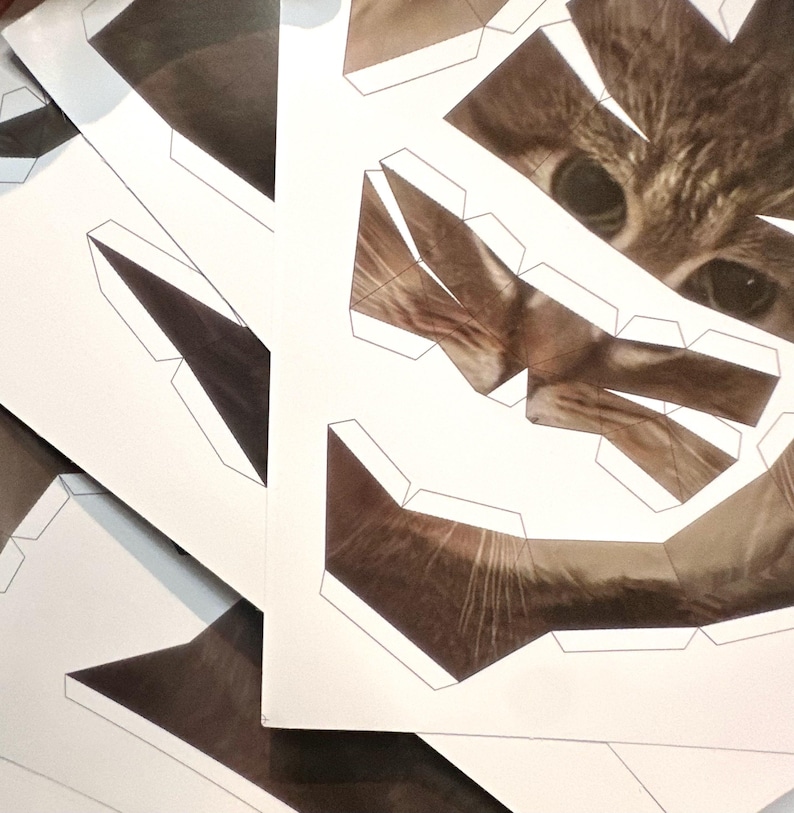 3D Papercraft Meme Cats - Etsy Canada