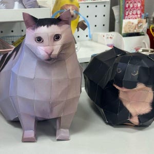 3D Papercraft Meme Cats - Etsy