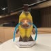 3D Papercraft Meme Cats - Etsy