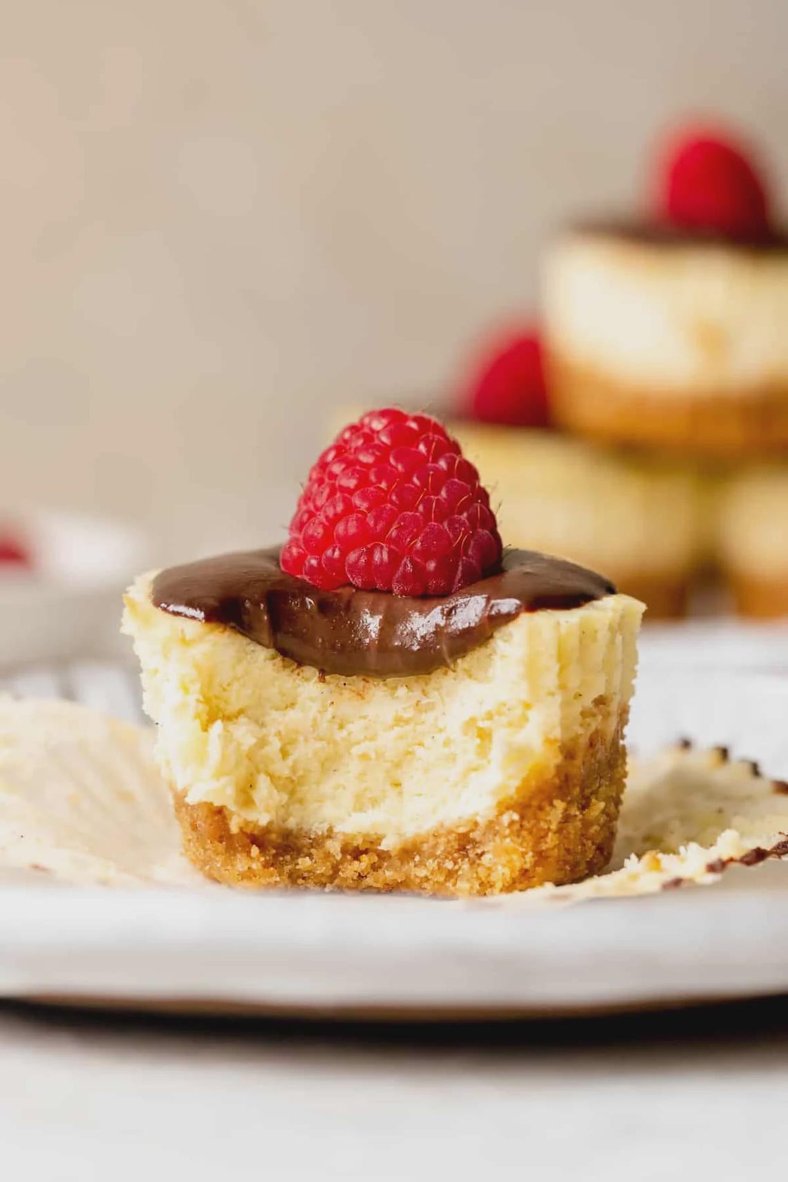 Mini Cheesecake Bites Recipe | Easy Bite-sized Creamy Desserts With ...
