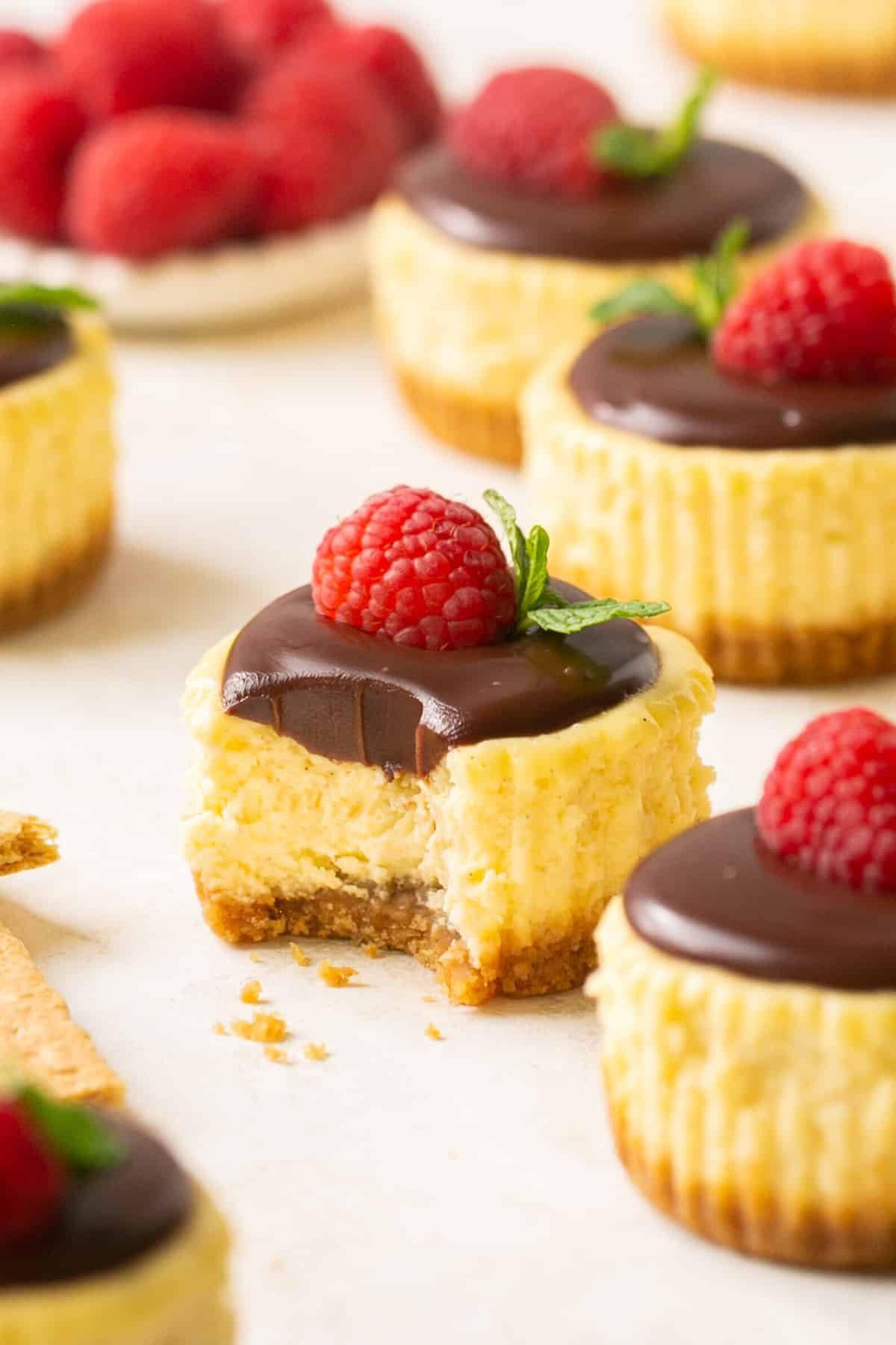 Mini Cheesecake Bites Recipe | Easy Bite-sized Creamy Desserts With ...