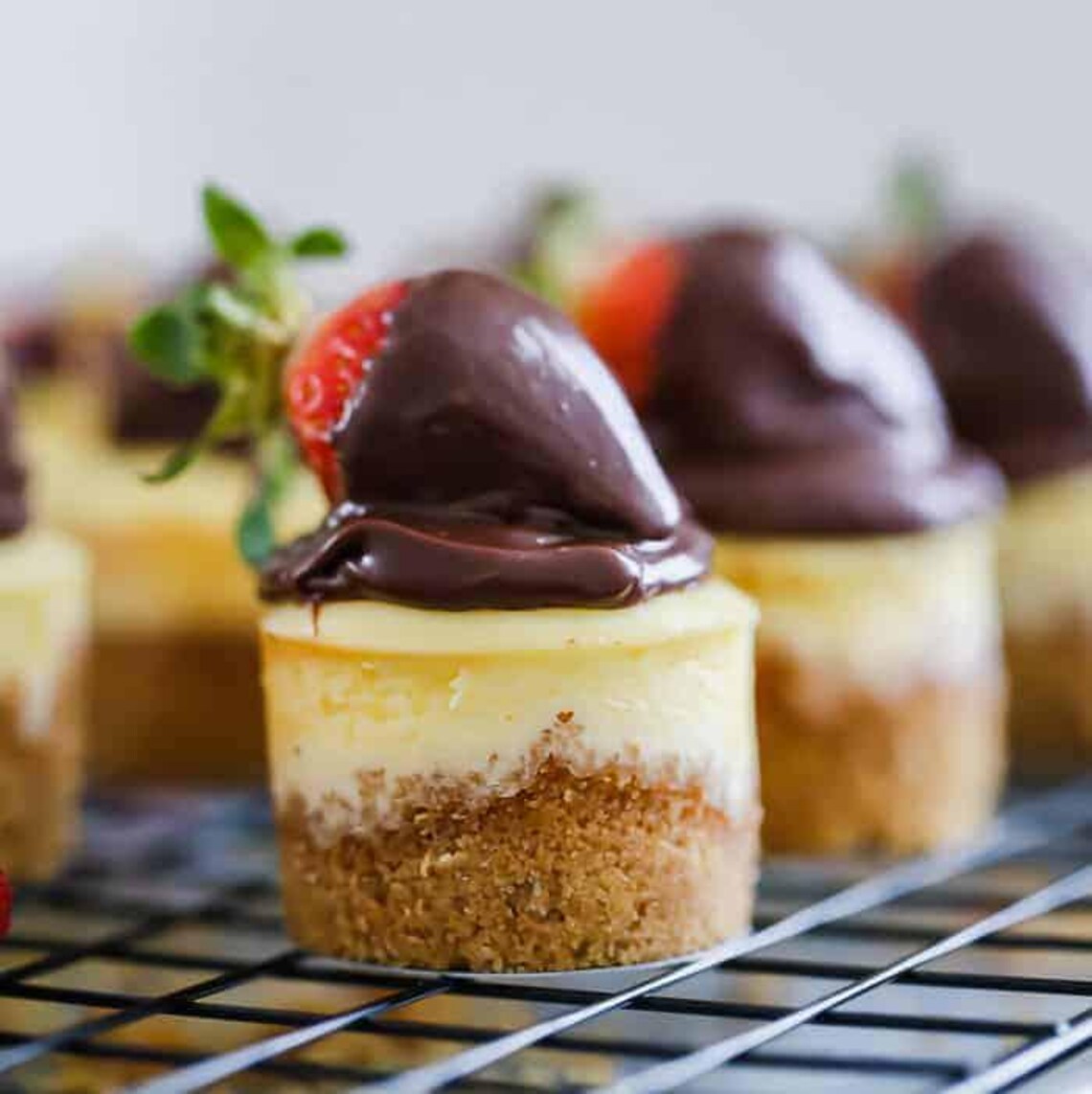 Mini Cheesecake Bites Recipe | Easy Bite-sized Creamy Desserts With ...