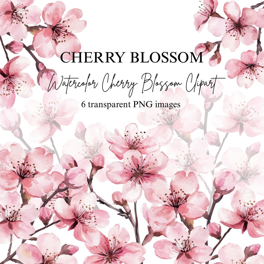 Watercolor Cherry Blossom Clipart, Sakura PNG, Printable Watercolor ...