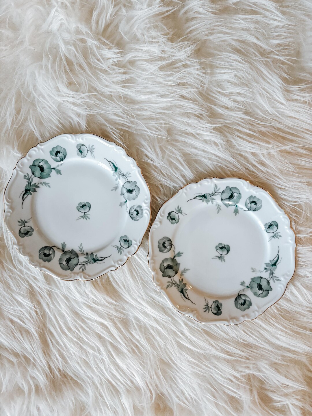Antique Porcelain Plates, Green Poppy Florals, Edelstein Bavaria Maria ...