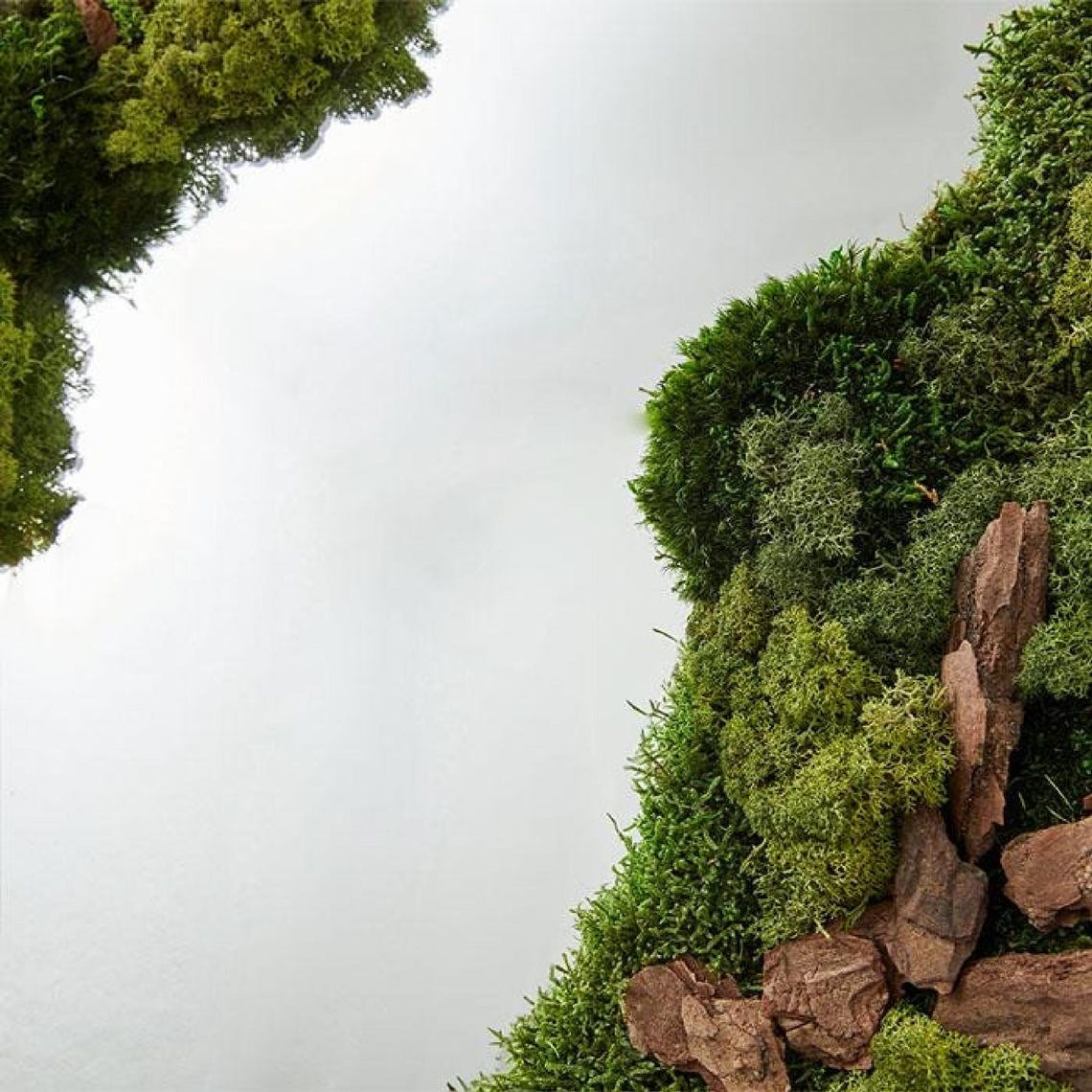 Preserved Moss Design, Handmade Moss Mirror: Natural Lichen & Bark ...