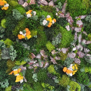 Large Rustic Moss Wall Art With Autumn Accents, 100x100cm Moss Wall Art ...