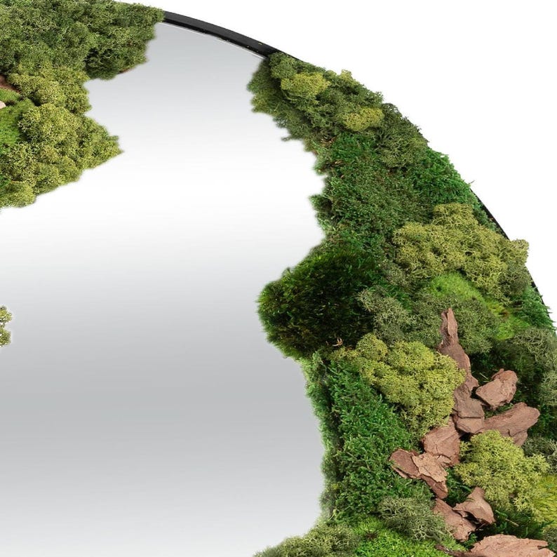 Preserved Moss Design, Handmade Moss Mirror: Natural Lichen & Bark ...
