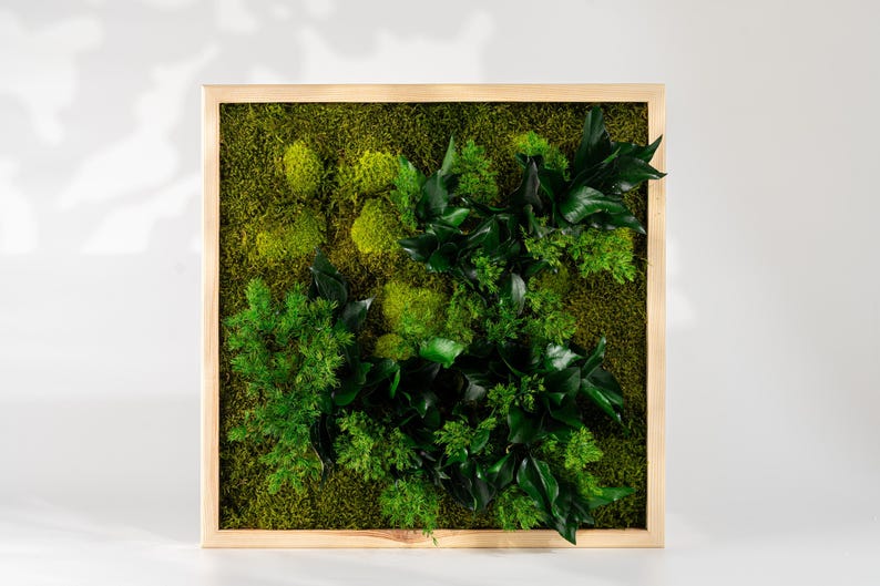 Natural Moss Wall Art: Botanical Wood Frame Decor, 18” X 18” - Etsy