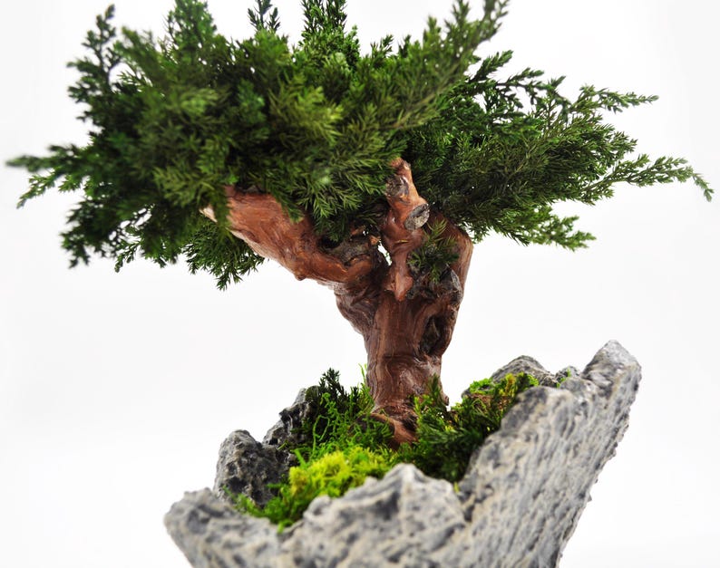 Natural Juniper Bonsai Tree | 14'' X 10'' 3D Printed PLA Pot | Zero ...